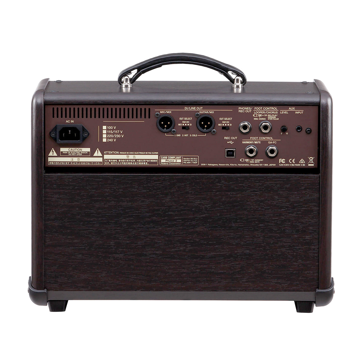 BOSS Acoustic Singer Live Guitar Amplifier – Oxbow Audio Lab